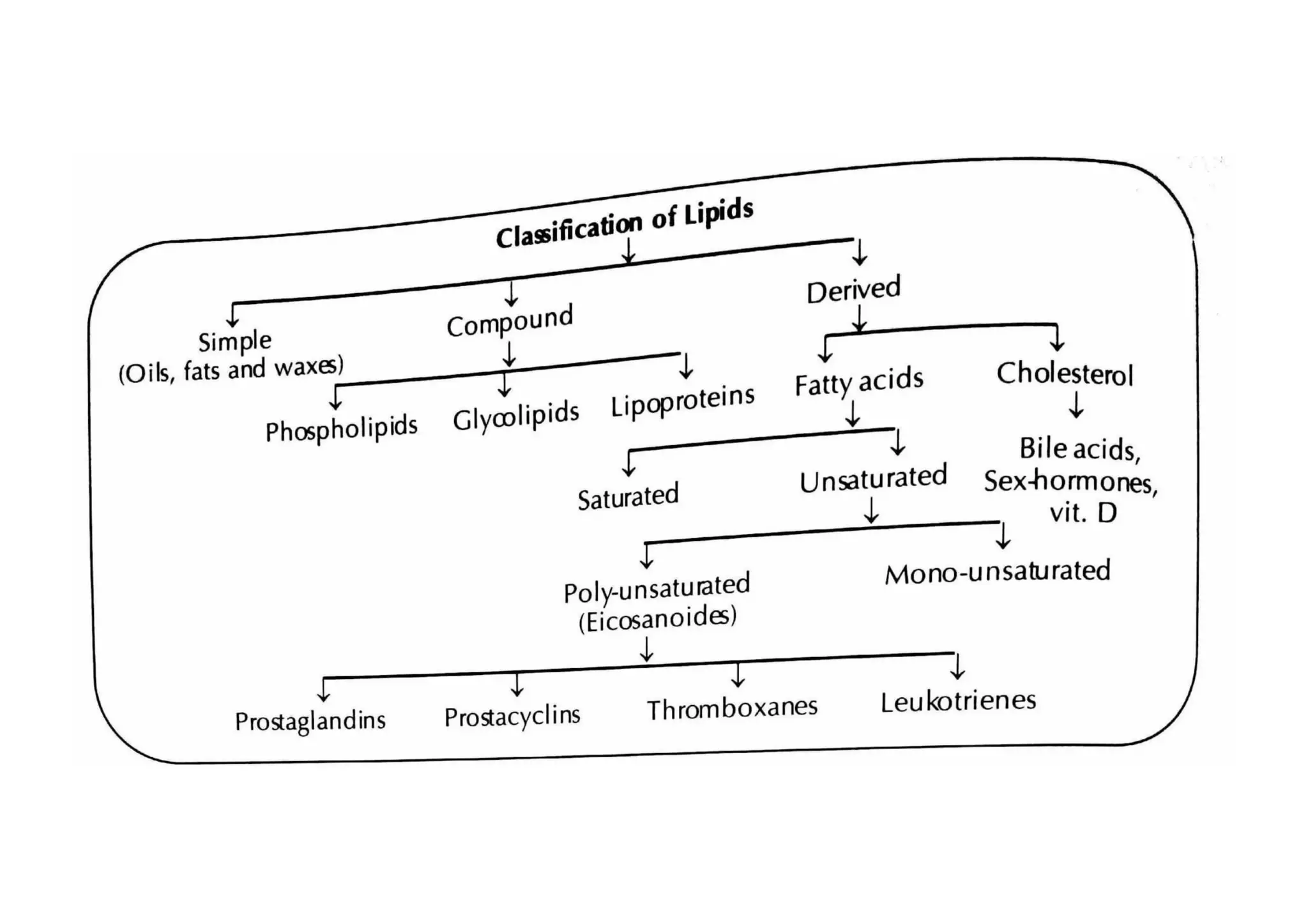 LIPIDS | PDF