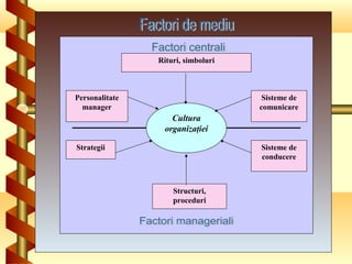 2 cultura organizationala | PPT