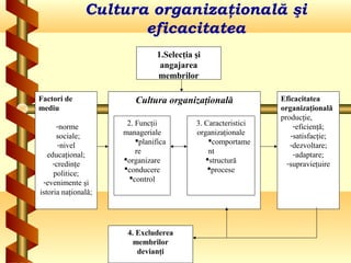 2 cultura organizationala | PPT