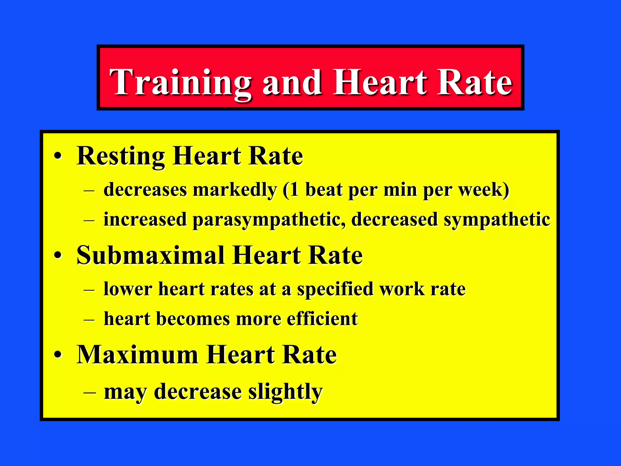 Cardiovascular Response to Exercise | PPT