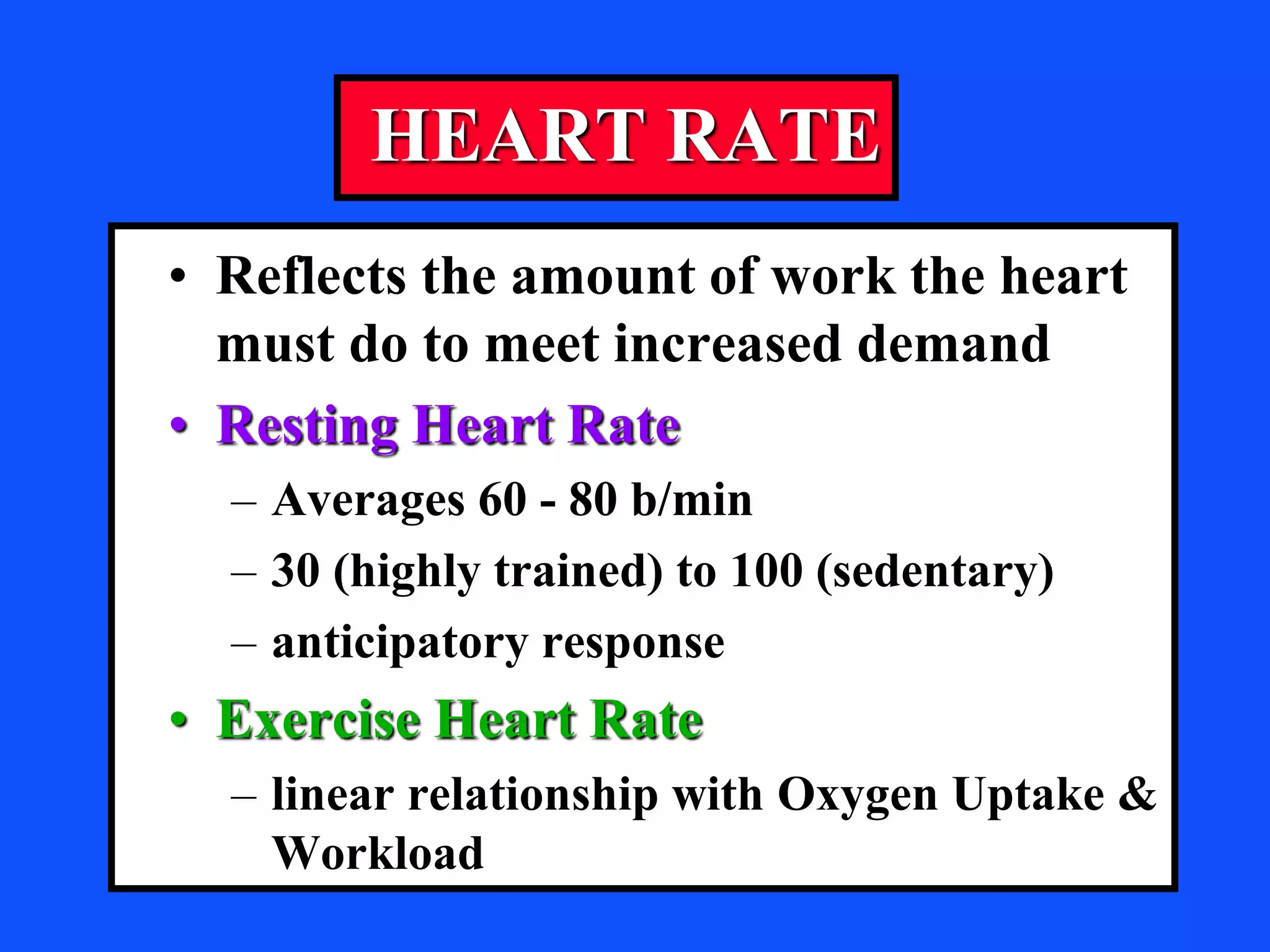 Cardiovascular Response to Exercise | PPT
