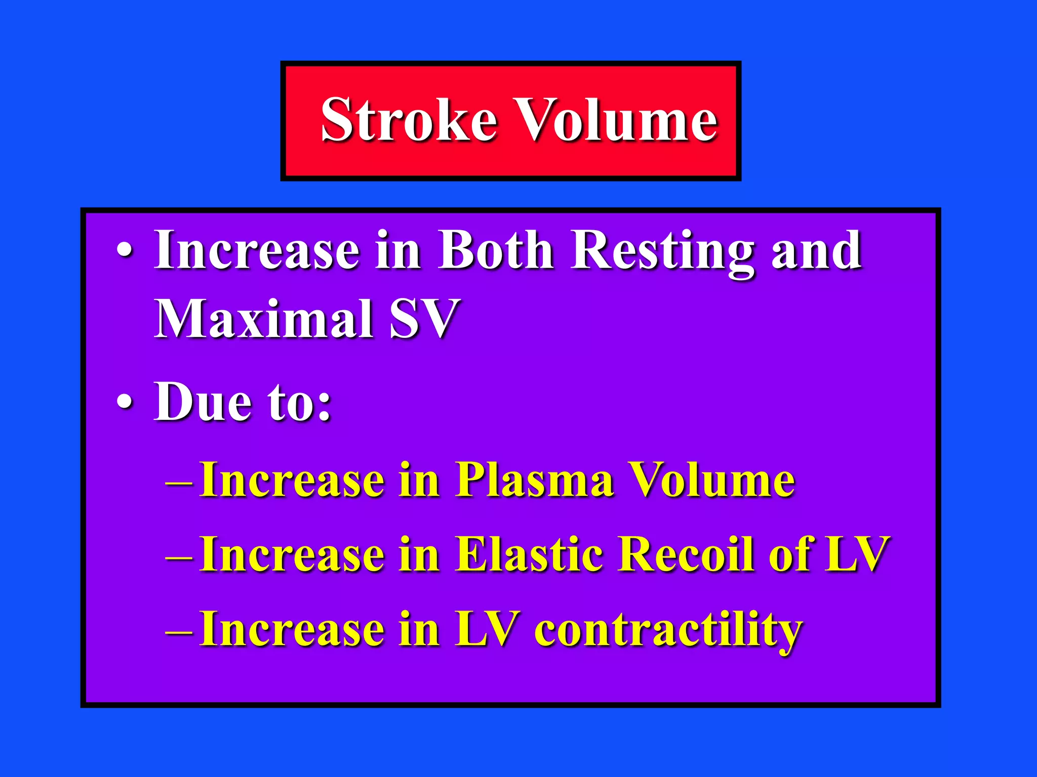 Cardiovascular Response to Exercise | PPT