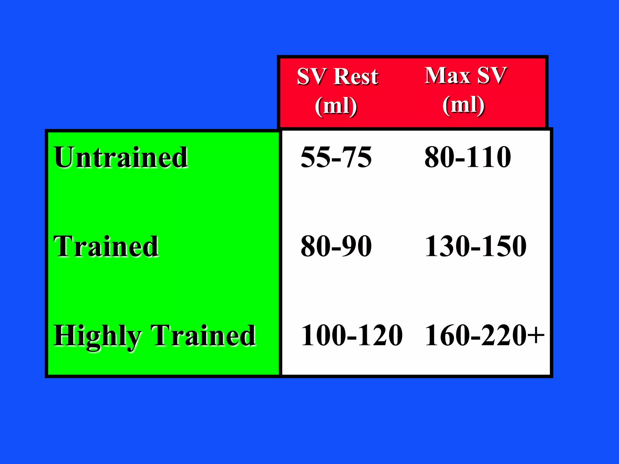 Cardiovascular Response to Exercise | PPT