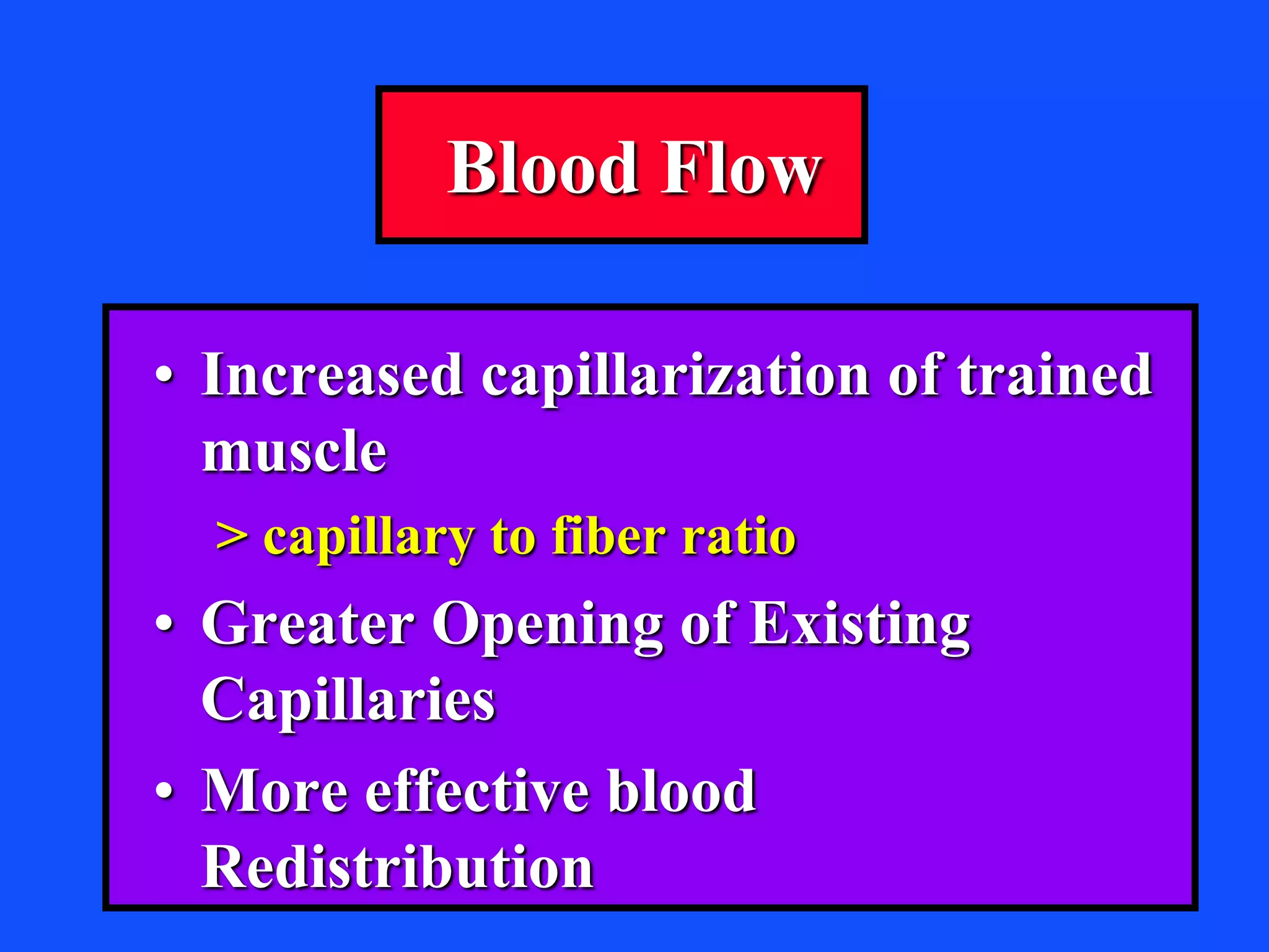 Cardiovascular Response to Exercise | PPT