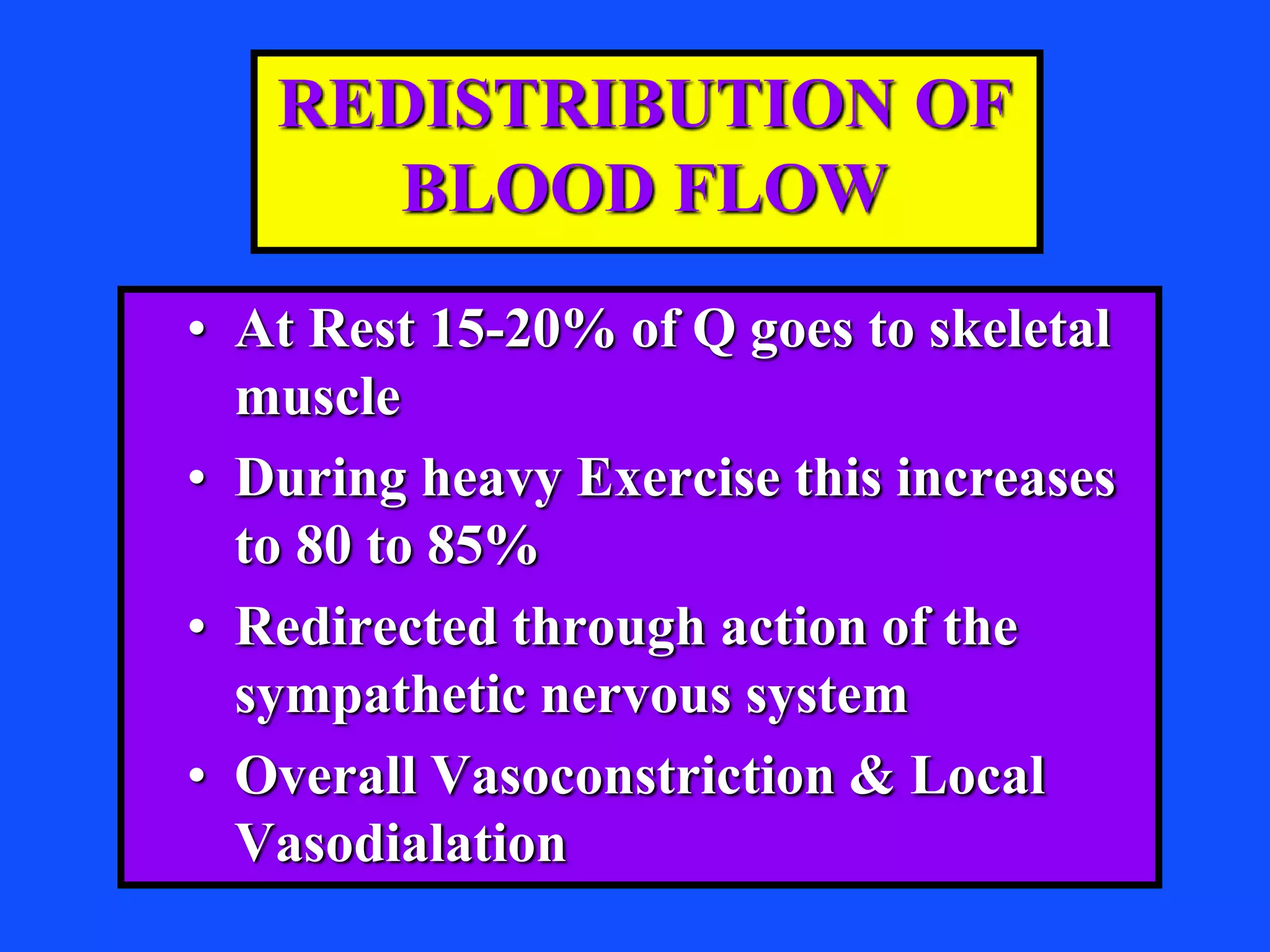 Cardiovascular Response to Exercise | PPT