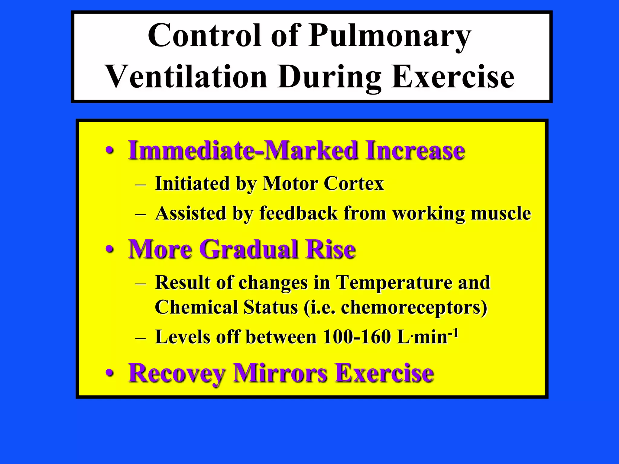 Cardiovascular Response to Exercise | PPT