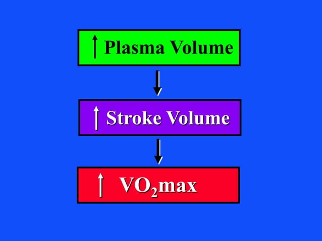 Cardiovascular Response to Exercise | PPT | Heart and Cardiovascular ...