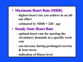 Cardiovascular Response to Exercise | PPT