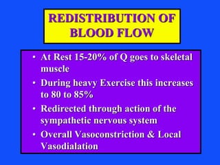 Cardiovascular Response to Exercise | PPT