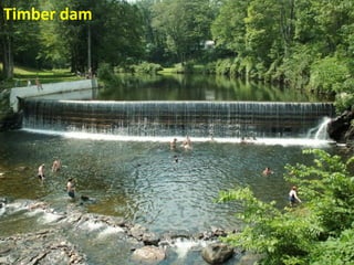 Timber Dam