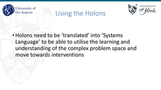 Systemic Design in Food Security and Resilience: Building A Holon | PDF