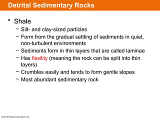 Detrital Sedimentary Rocks and what makes them | PPTX