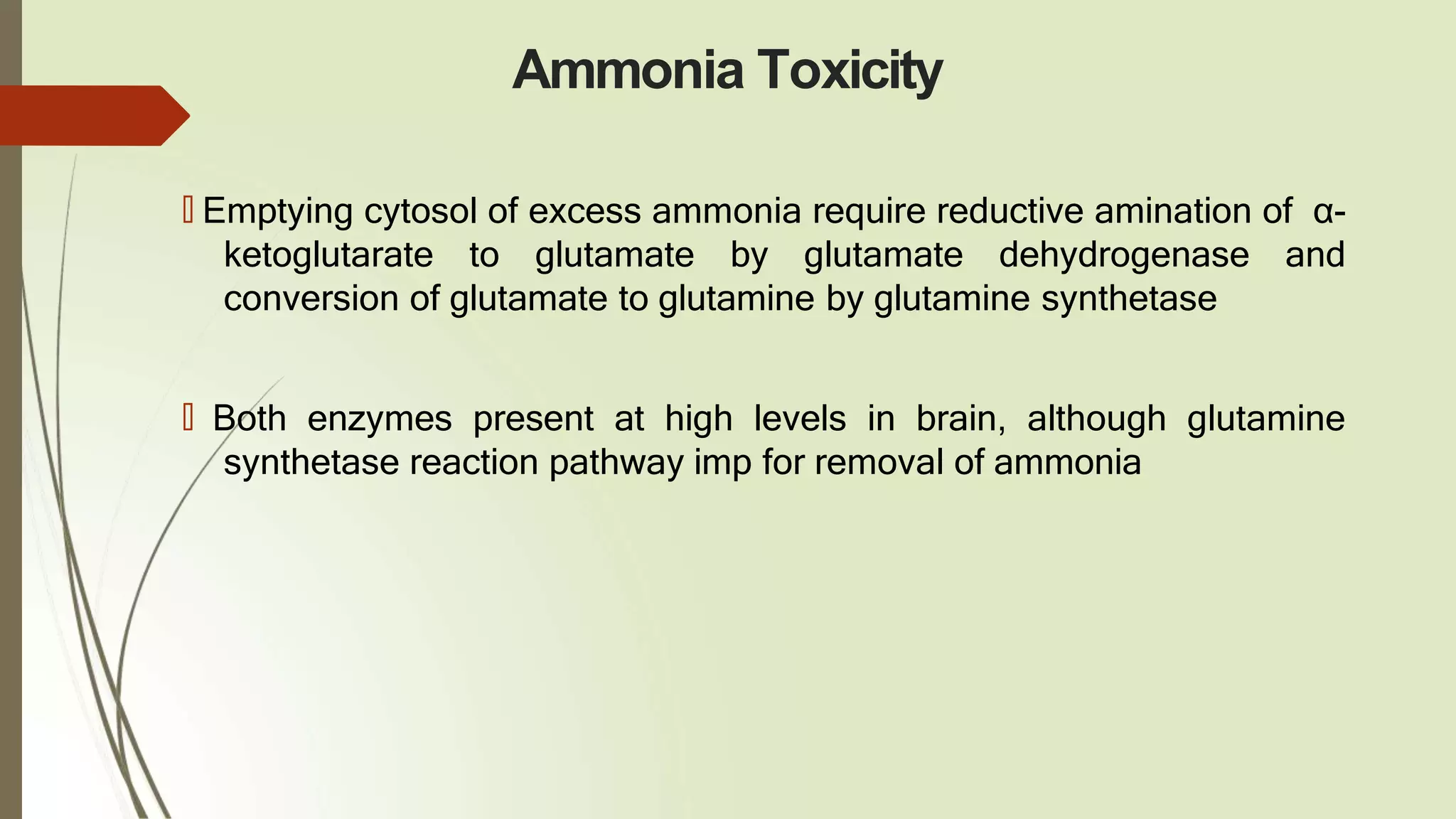 Formation & Transport of Ammonia and its Associated Disorders | PPTX