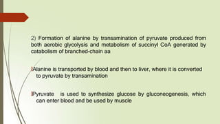 Formation & Transport of Ammonia and its Associated Disorders | PPTX