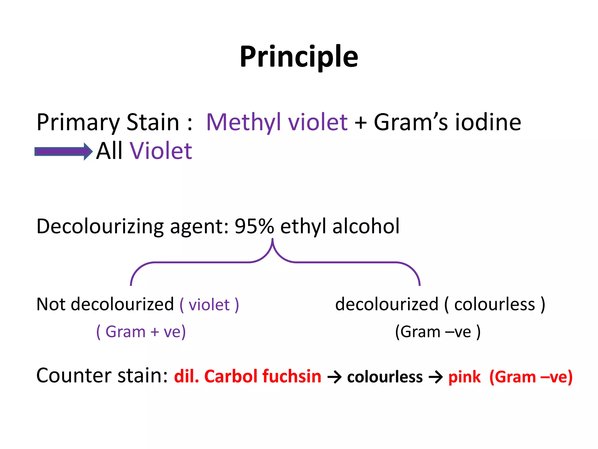 2- Diagnosis of inf. and staining.ppt | Infectious Diseases | Diseases ...