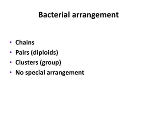 2- Diagnosis of inf. and staining.ppt | Infectious Diseases | Diseases ...