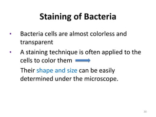 2- Diagnosis of inf. and staining.ppt