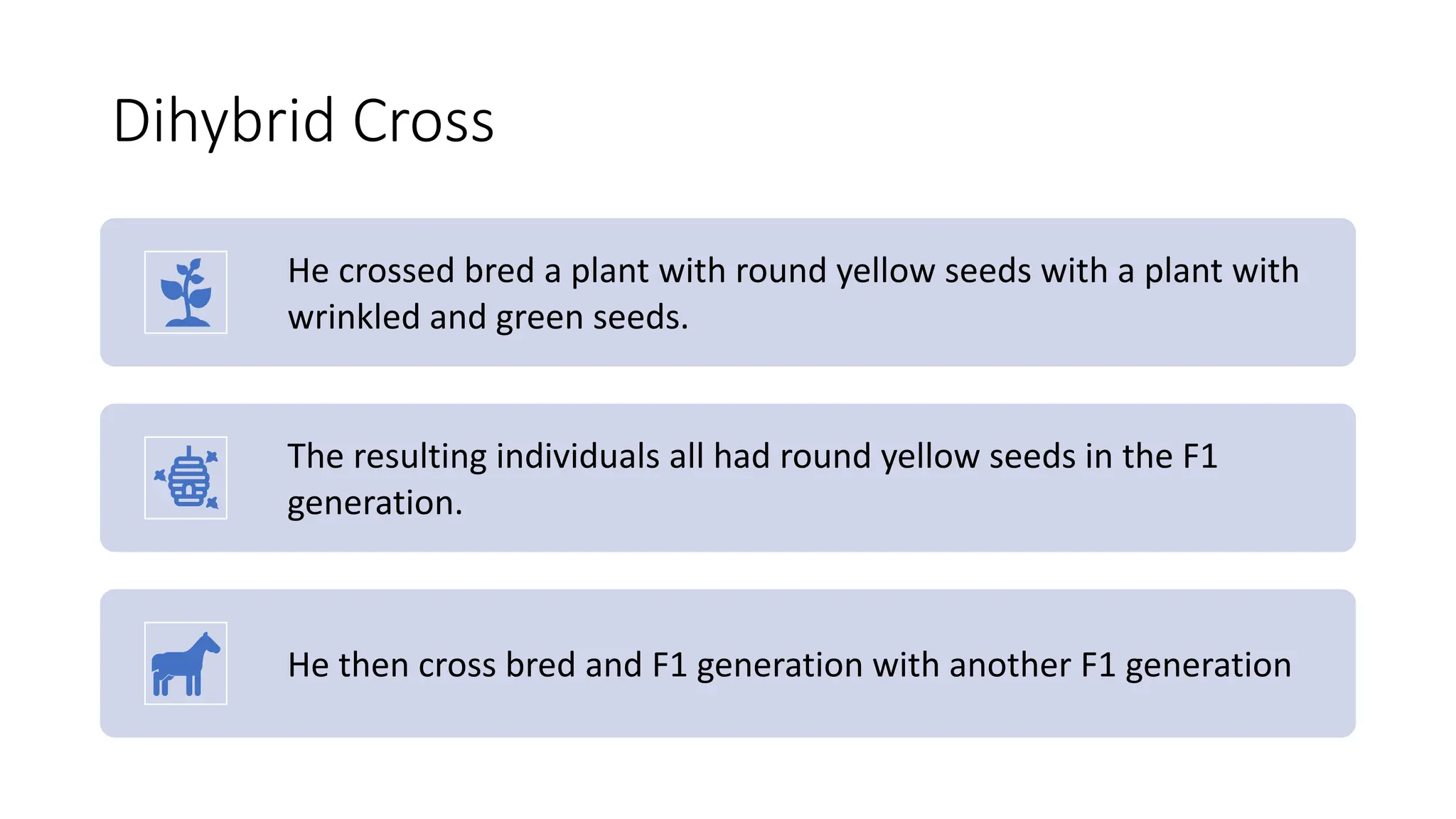 2-Dihybrid cross.pdf.dowlond for free class 10 | PDF