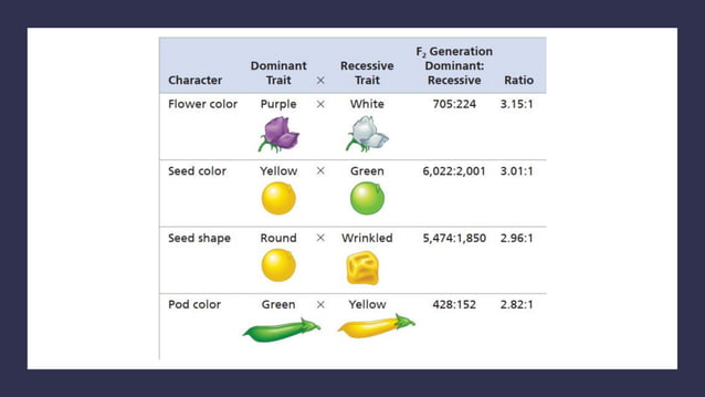 2-Dihybrid cross.pdf.dowlond for free class 10 | PDF | Genetics | Science