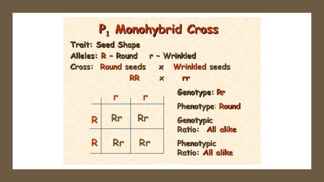 2-Dihybrid cross.pdf.dowlond for free class 10 | PDF | Genetics | Science