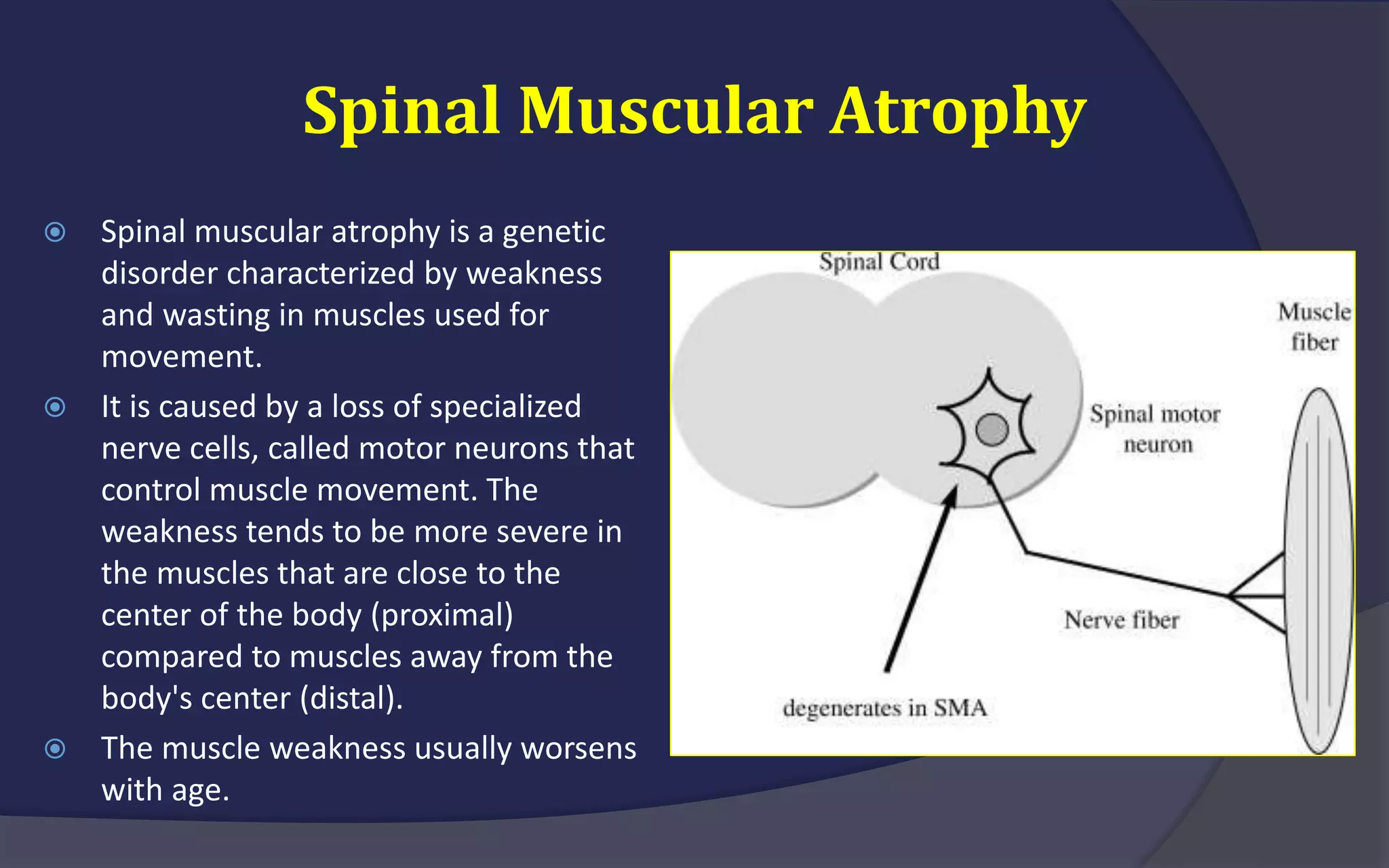 Motor Neuron Diseases | PPTX