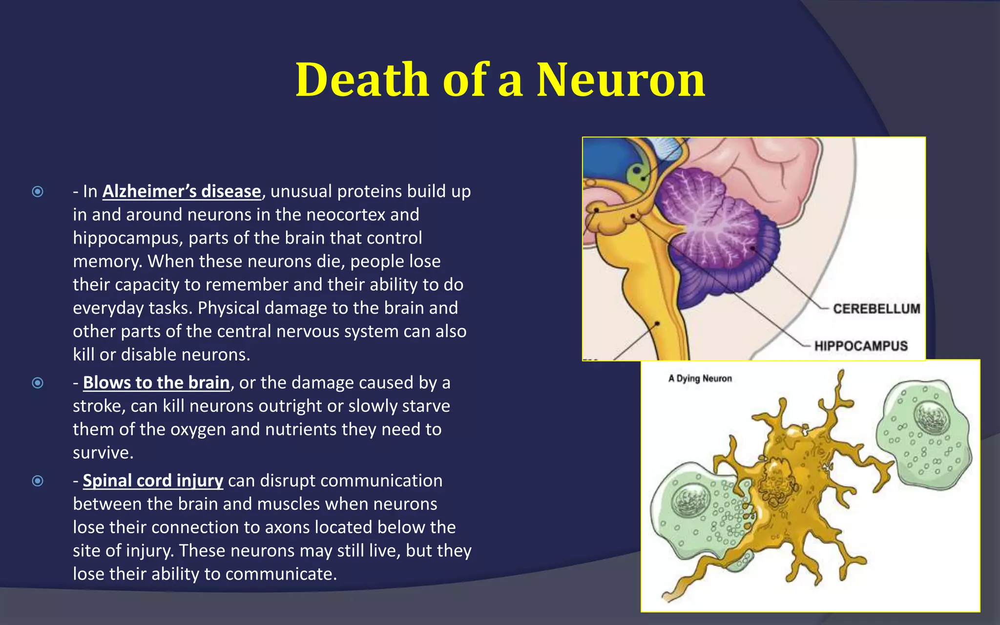 Motor Neuron Diseases | PPTX