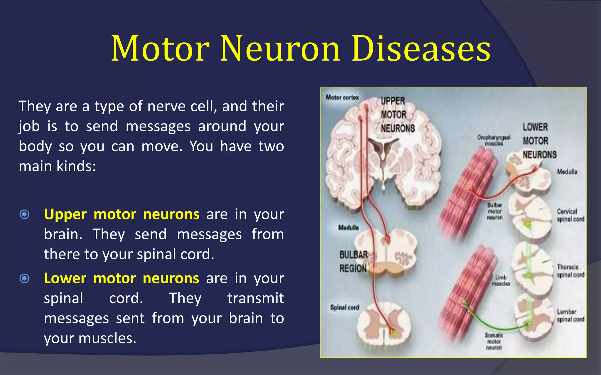 Motor Neuron Diseases | PPTX