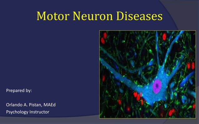 Motor Neuron Diseases | PPTX | Physical Therapy | Wellness