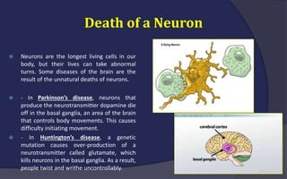 Motor Neuron Diseases | PPTX