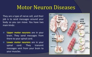 Motor Neuron Diseases | PPTX