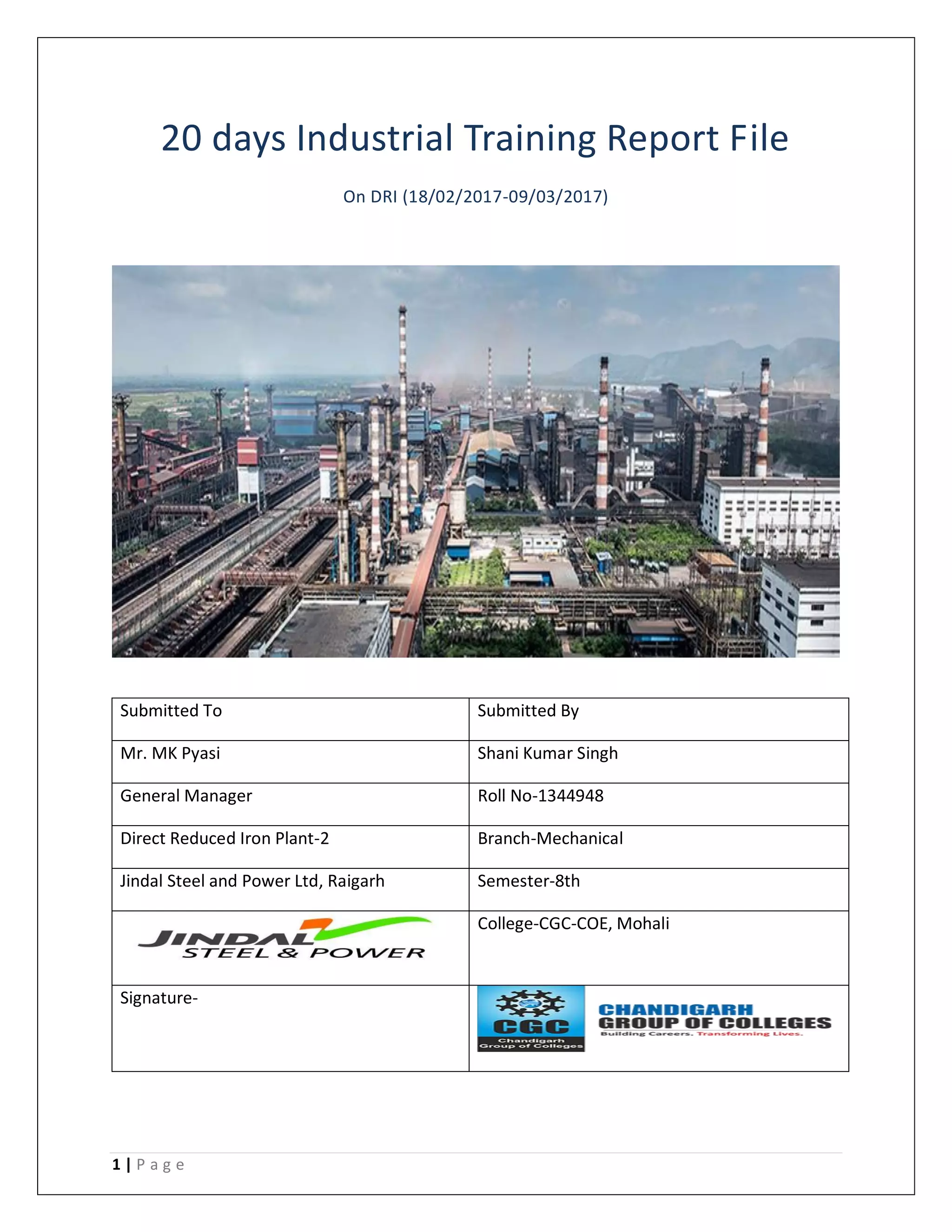 Industrial Training Report on Direct Reduced Iron Plant(DRI) | PDF