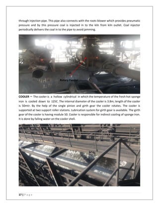 Industrial Training Report on Direct Reduced Iron Plant(DRI) | PDF
