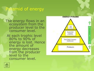 Ecosystem | PPT