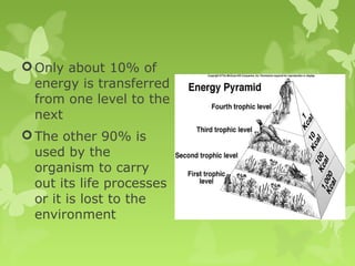 Ecosystem | PPT