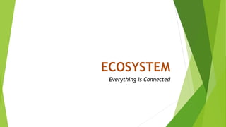 ENVI 2 ecosystem | PPTX