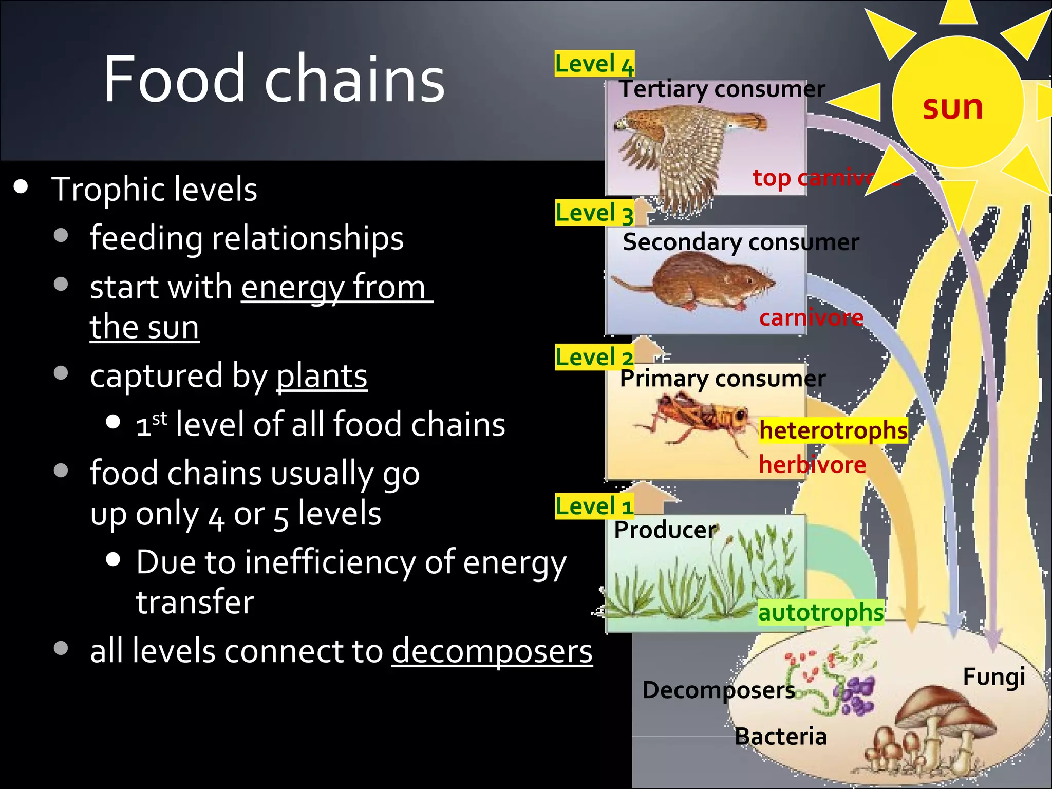 Ecosystems | PPT