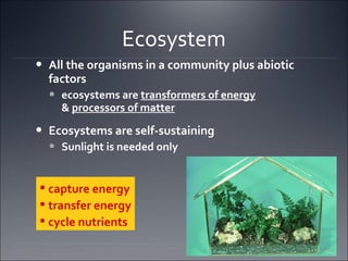 Ecosystems | PPT