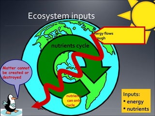Ecosystems | PPT
