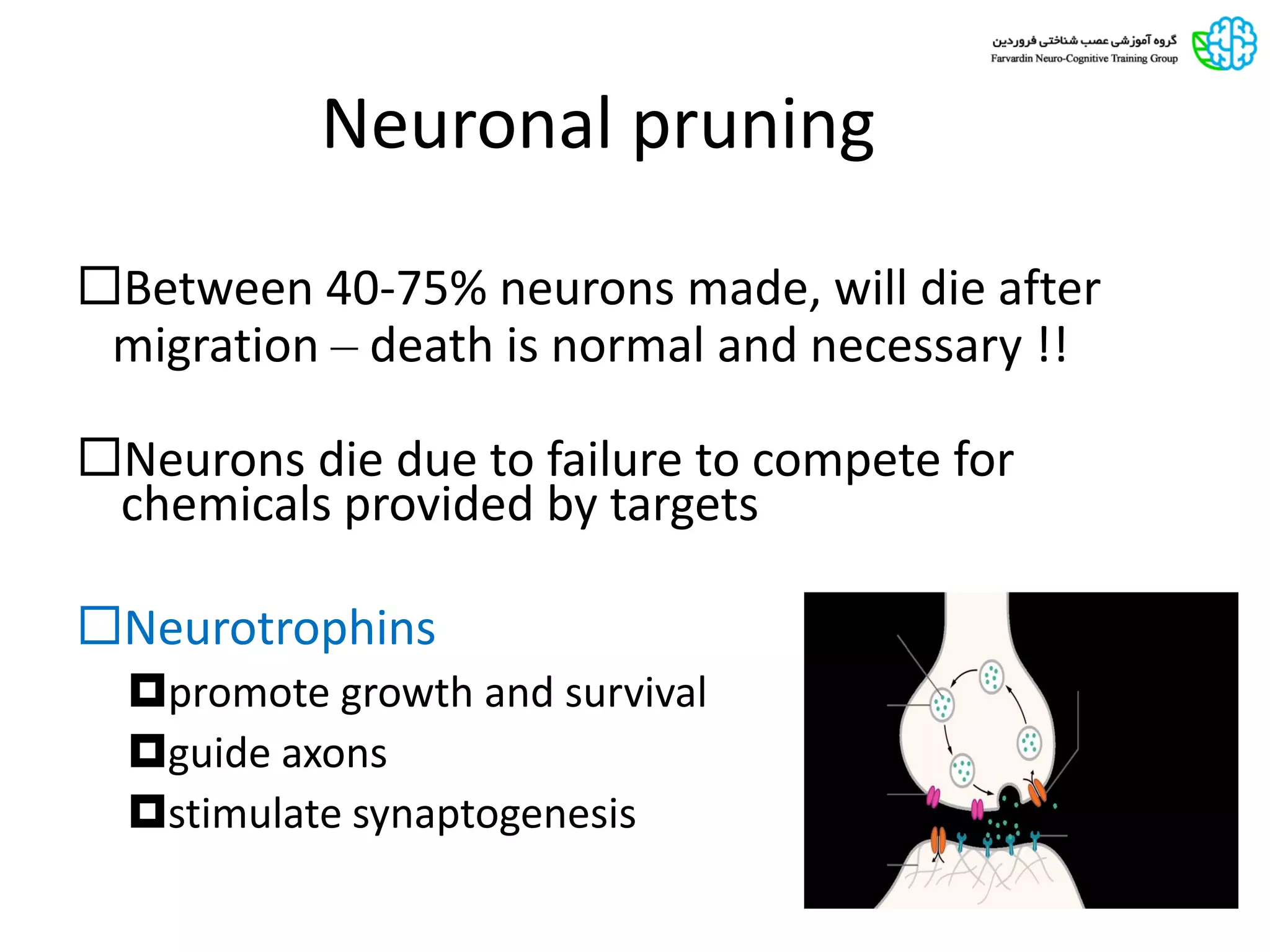 Development of Intelligence | PDF
