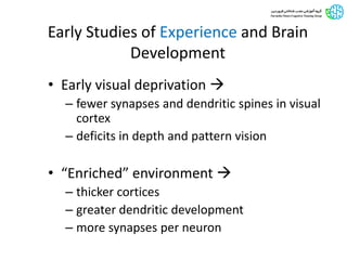 Development of Intelligence | PDF