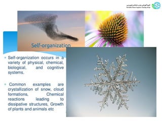 Development of Intelligence | PDF