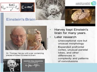 Development of Intelligence | PDF