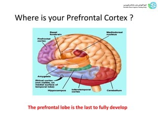 Development of Intelligence | PDF