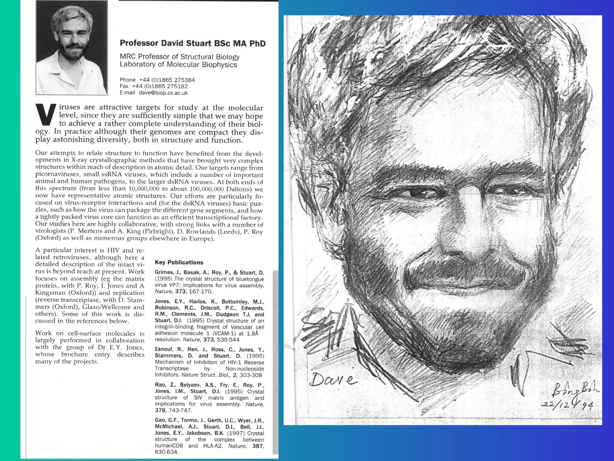2 Elisa Enzyme Linked Immunosorbent Assay Ppt