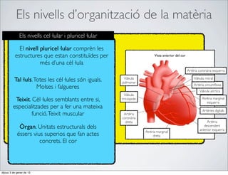 02. Els nivells d’organització de la matèria | PDF