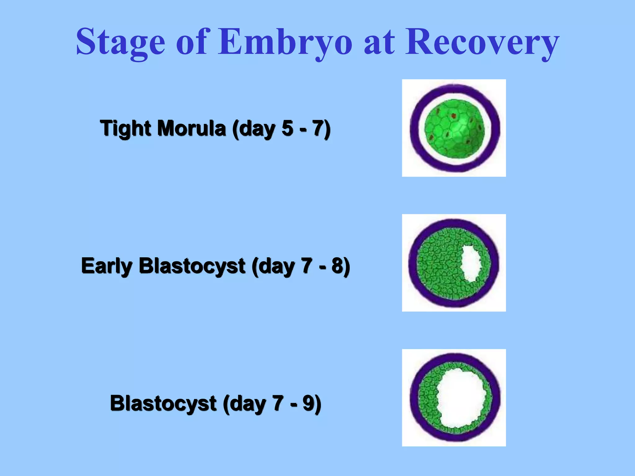 2- Embryo Transfer in farm animal23.ppt