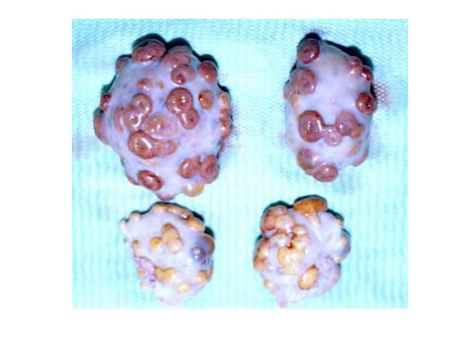 2- Embryo Transfer in farm animal23.ppt | Infertility | Reproductive Health