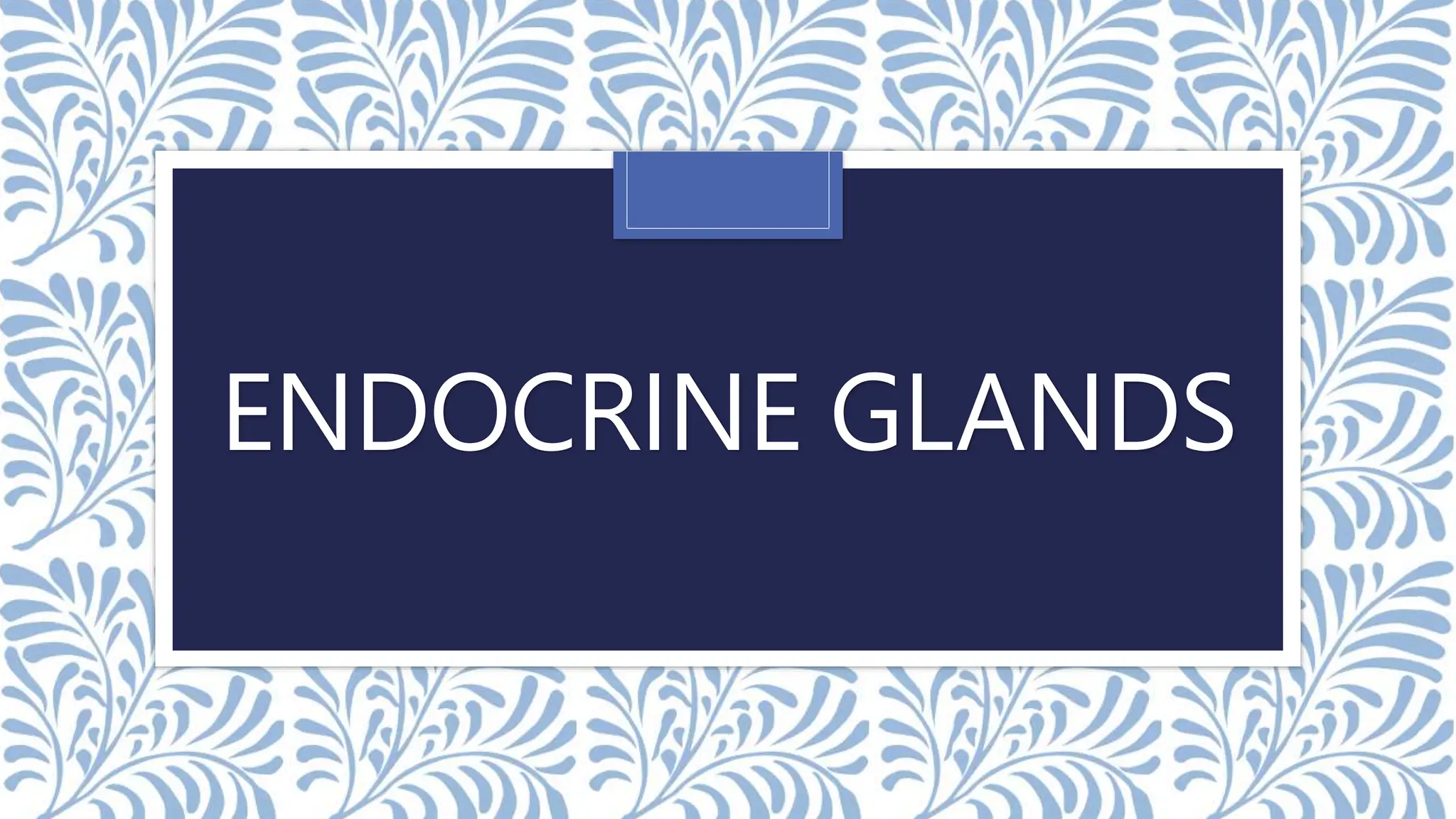 2-Endocrine-System.pptxvgcdsgcdhsDVWIHVD | PPT