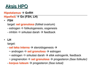 endokrinologi reproduksi overview | PPT