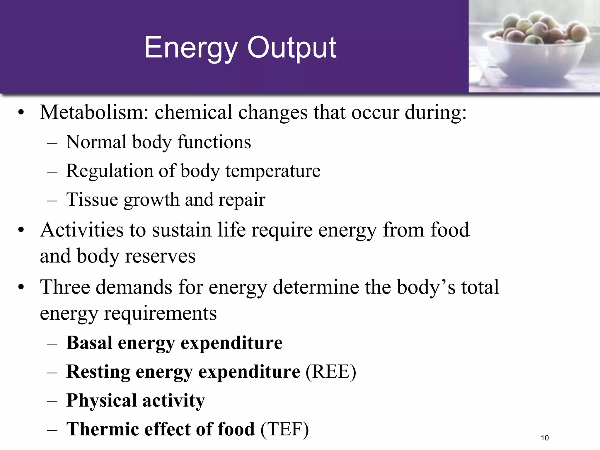 energy requirement and energy expenditure.ppt